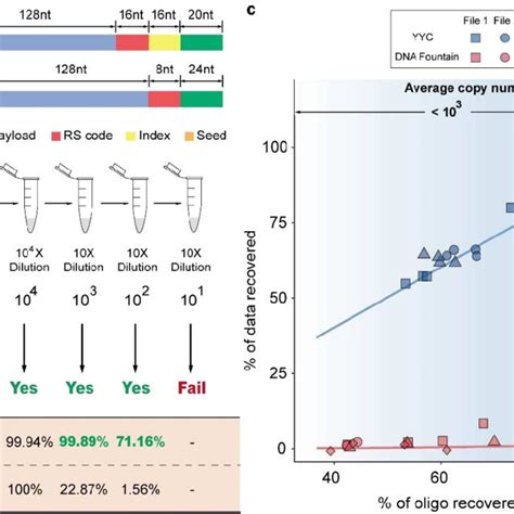 The Experimental Validation Of In Vitro Binary Data Storage Using Yyc