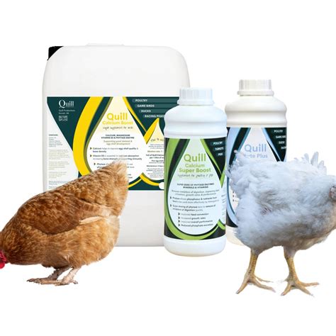 Poultry Vitamins And Supplements Organic Acids Electrolytes And Multi