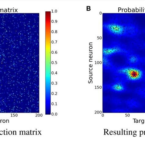 Determining The Position Of New Synapses The Connection Matrix Is Download Scientific