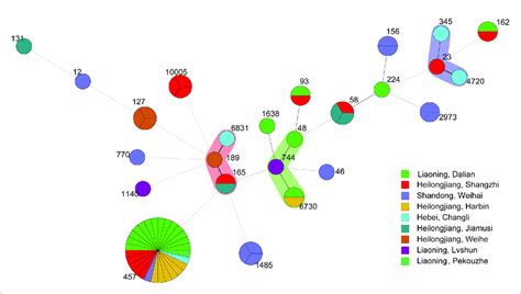 Minimum Spanning Tree Of 66 E Coli Strains By Whole Genome
