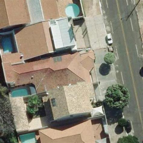 Trees Detection Object Detection Dataset By Detection