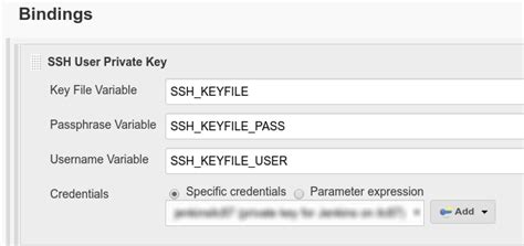 Use Ssh Key From Jenkins Git Plugin To Run Git Commands During Build