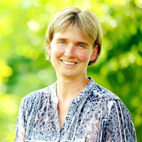 Kinesiologie Anja Planken Was Schult Man Als Erwachsener Mit Brain