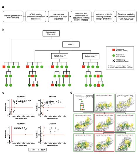 Predictive Profiling Of Sars Cov 2 Variants By Deep Mutational Learning Abstract Europe Pmc