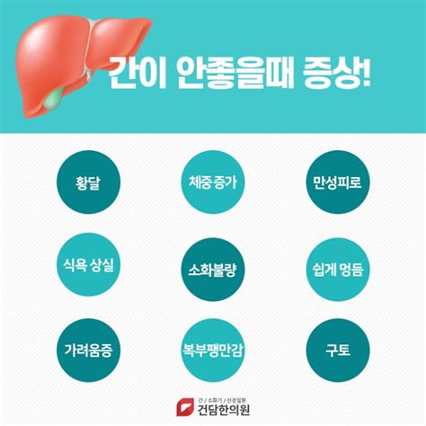 만성간염 증상 간경화 증상과 자가면역 간염 증상 네이버 블로그