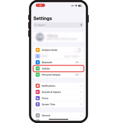 Roaming Apn Settings On Iphone Kawaii Esim For International Travel