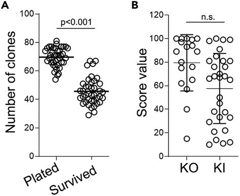 Cell Press Star Protocols