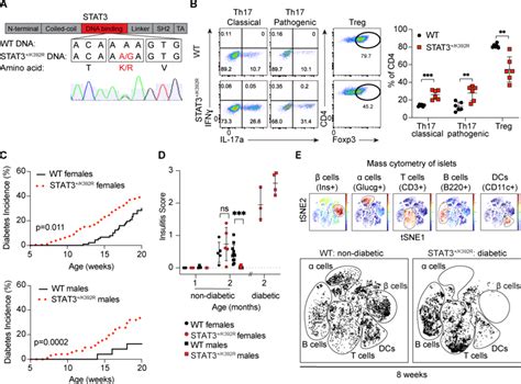 Stat3k392r Mutant Mice Recapitulate The Human T1d Phenotype A Download Scientific Diagram