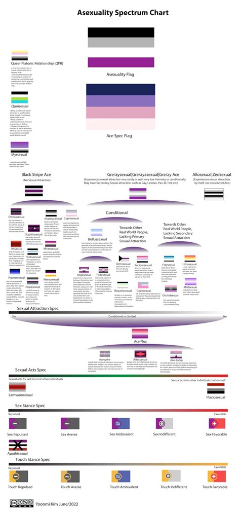 Asexuality Spectrum Chart Video 김윤미 Kim Yoonmi Author