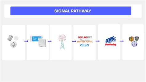 Copy Signal Pathway