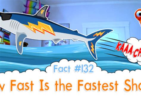 How Do Lobsters Communicate? - The Fact a Day - #143 - The Fact a Day