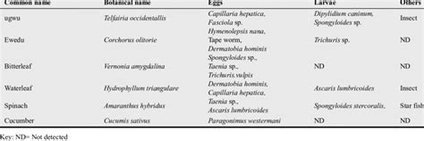 Samples Observed With Parasitic Eggs And Larvae From Ganaja Market Download Table