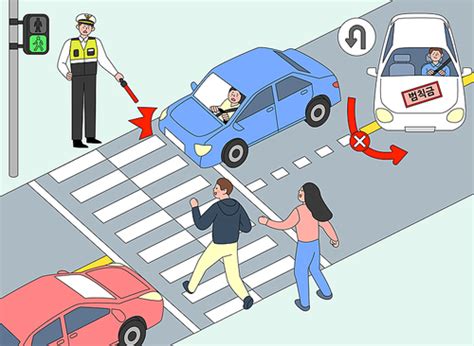 도로교통법횡단보도 정지선 벌점 유턴 위반벡터 일러스트 유토이미지 상세페이지 베이직샵 일러스트 22185424