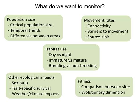 Capture Mark Recapture Cmr As A Method For Species Monitoring At A
