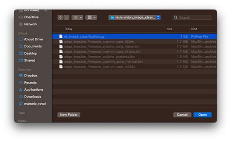 Image Classification Machine Learning Systems