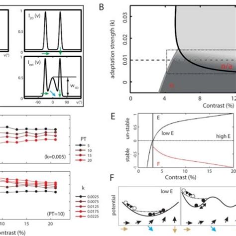 dynamic neural fields model structure and characteristics a 1d
