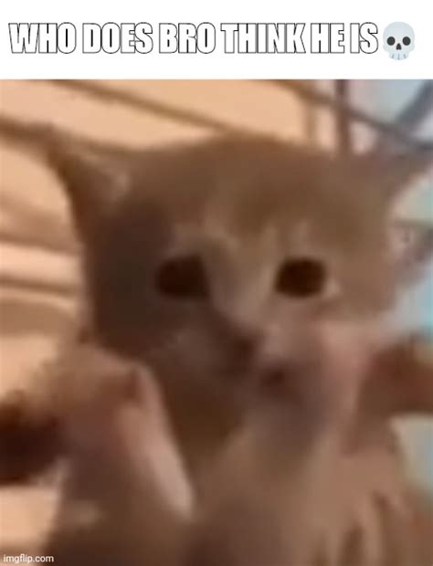 Bros Tiny Imgflip