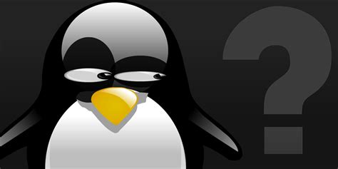 Can We Really Trust Linux