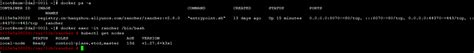 Rancher 28 Local集群通过kubectl Shell 无法使用kubectl命令 Rancher 2x