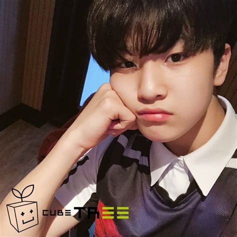 Pin By Kpoploverasia On Cube Tree Cube Entertainment Social Media Cube