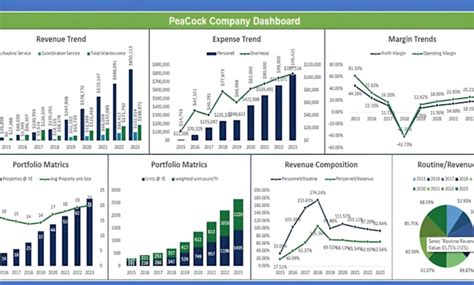 Create A Professional Excel Dashboard Graph Chart And Data Analysis In 24 Hours By