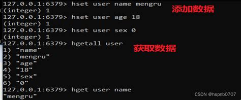 redis企业应用入门看这篇就够了！ 公司常用的redis要学什么 csdn博客