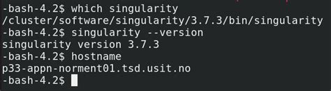 error no setuid installation found p33 tsd · issue 5 · comorment