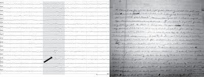 The Neurocritic June 2012