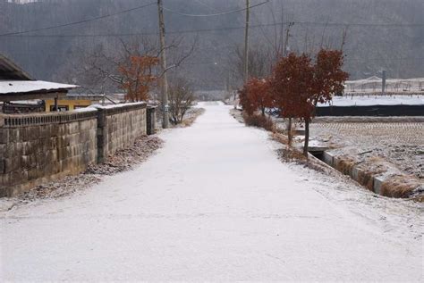 시골 겨울 풍경 섹스 사랑 가족 가족 육아에 대한 지식