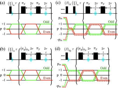Communication Phase Incremented Echo Train Acquisition In Nmr Spectroscopy The Journal Of