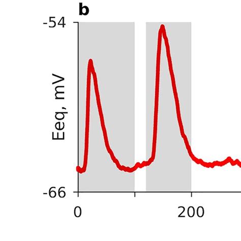 Equivalent Synaptic Reversal Potential In The Responses To Gap Stimuli Download Scientific