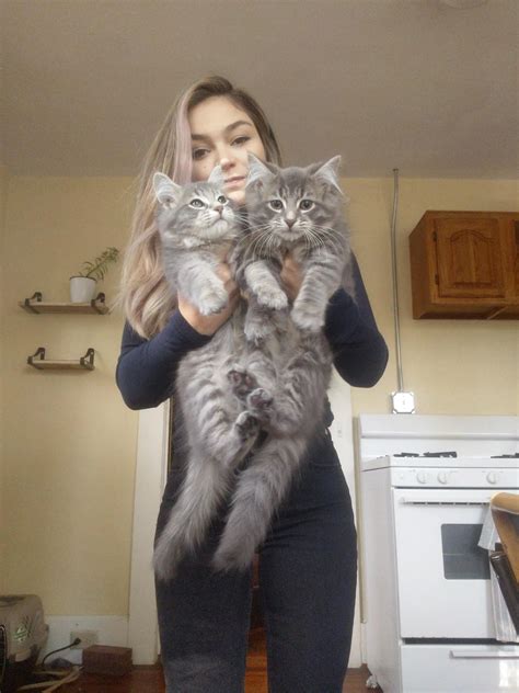 Double Pussy Scrolller
