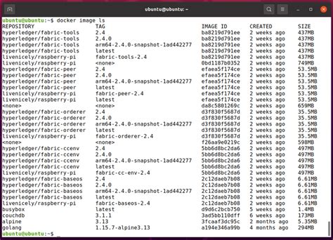 Hyperledger Fabric Docker Images On Raspberry Pi Download Scientific