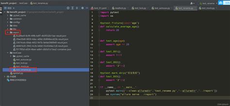 Pytest 自动生成allure测试报告，每次运行清除之前生成的报告文件 源码巴士