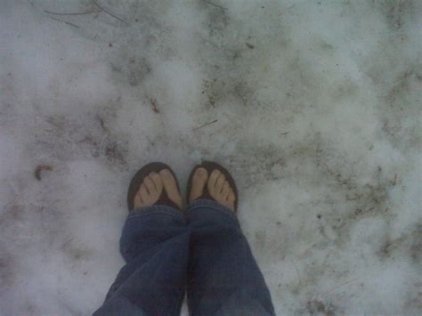 Aria Feet 26 Photos Sexy Feets Celeb Feets