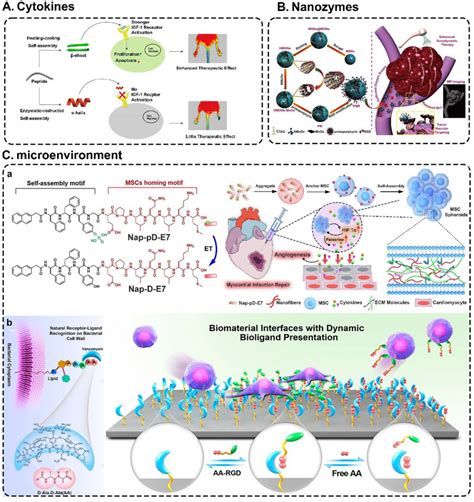 Biomimetic Peptide Nanomaterials For Therapy A Illustration Of Download Scientific Diagram