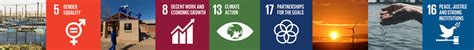 Sustainable Development Goals Sdgs Implementation National Business