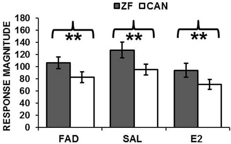 He Hears She Hears Are There Sex Differences In Auditory Processing Pmc