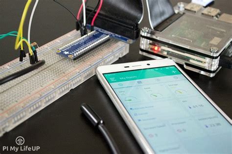 Getting Started With Raspberry Pi Cayenne Pi My Life Up