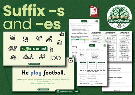 Y2 Objective 4 Suffix S And Es Grammarsaurus