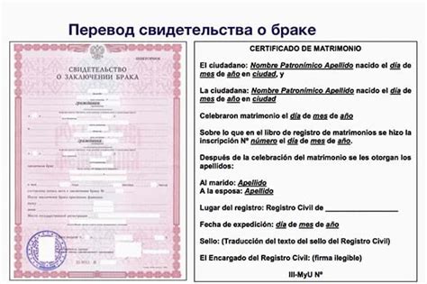 Перевод свидетельства о браке в Москве Цены от Бюро переводов Livion