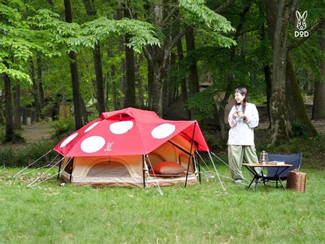 라이프스타일 캠핑 브랜드 디오디 한국시장 본격 진출 패션서울