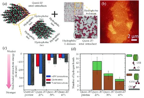 A Quasi 2d1d Assembly Driven By Amphiphilicity Via Download