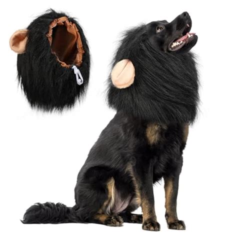 Hund Verkleiden Die 15 Besten Produkte Im Vergleich Hundeinfoportal