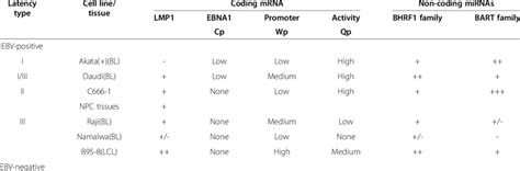 Characterization Of Ebv Coding And Noncoding Transcripts In Cells And