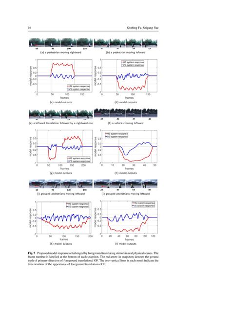 modelling drosophila motion vision pathways for decoding the direction