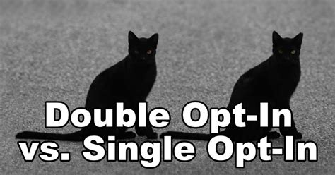Single Vs Double Opt In For Your Email Marketing Michael Comeau