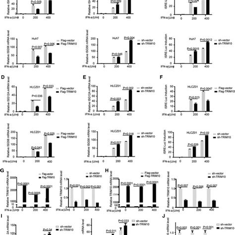The Model Depicts The Regulation Of Ifn Jak Stat Signaling Pathway By