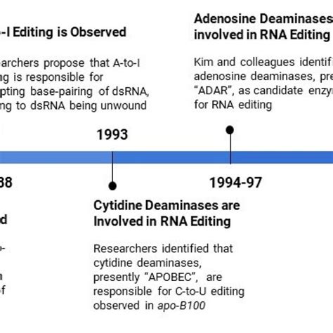 Schematic Representation Of Mirna Editing Hotspots In Cancer Correlated