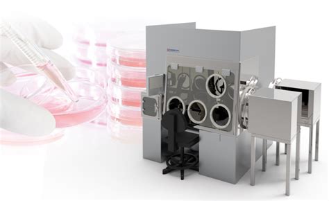 Sterility And Cross Contamination Challenges In Tissue Engineering And Regenerative Medicine